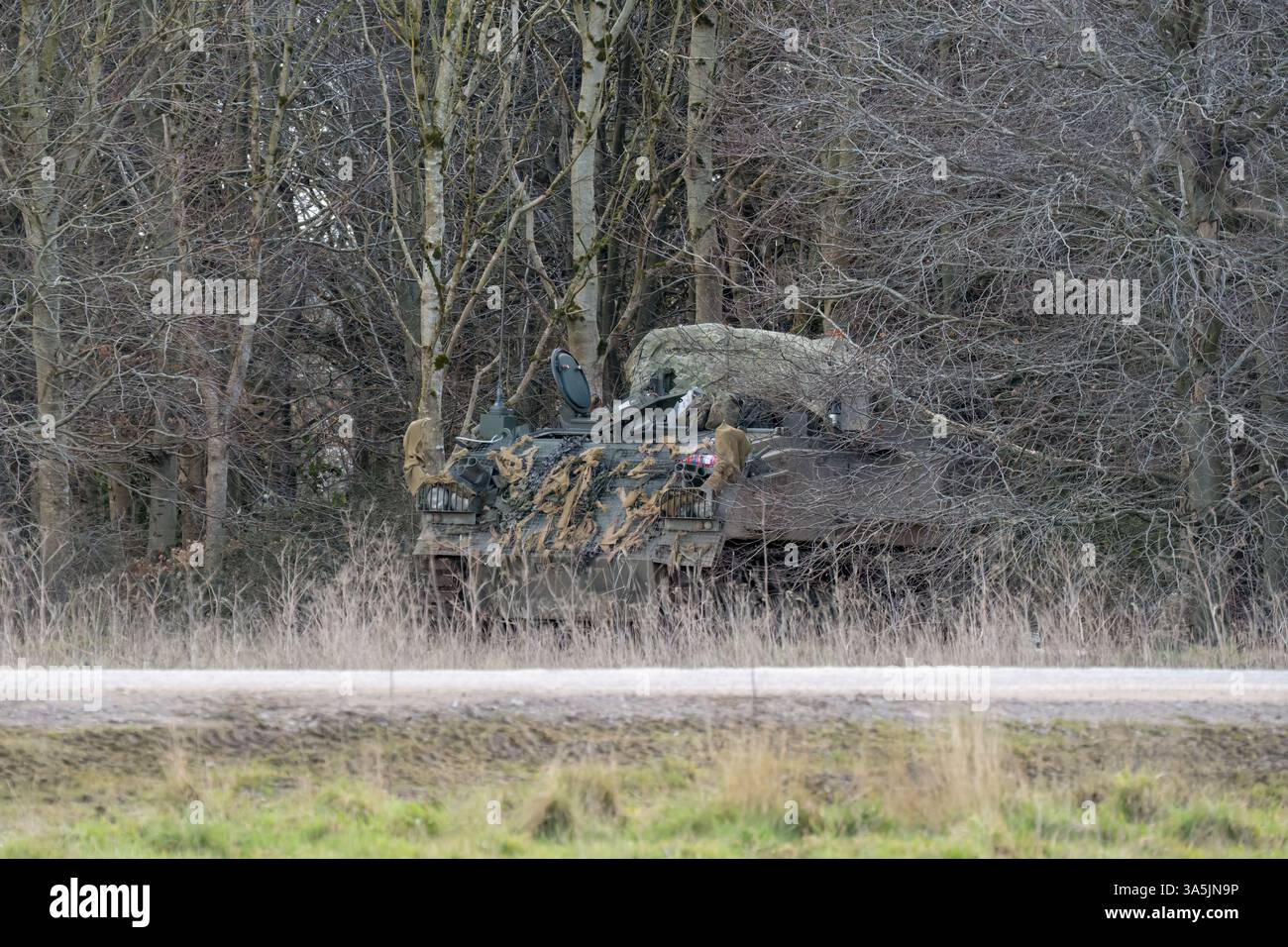a tracked tank taking cover by woodland Stock Photo - Alamy