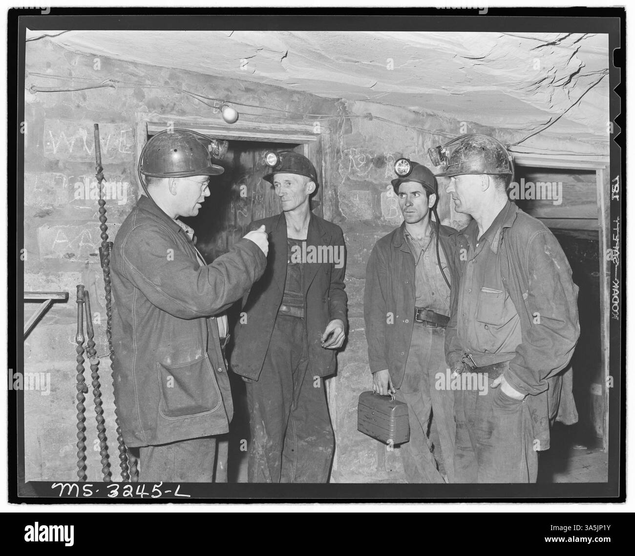 Section crew Cut Out Stock Images & Pictures - Alamy