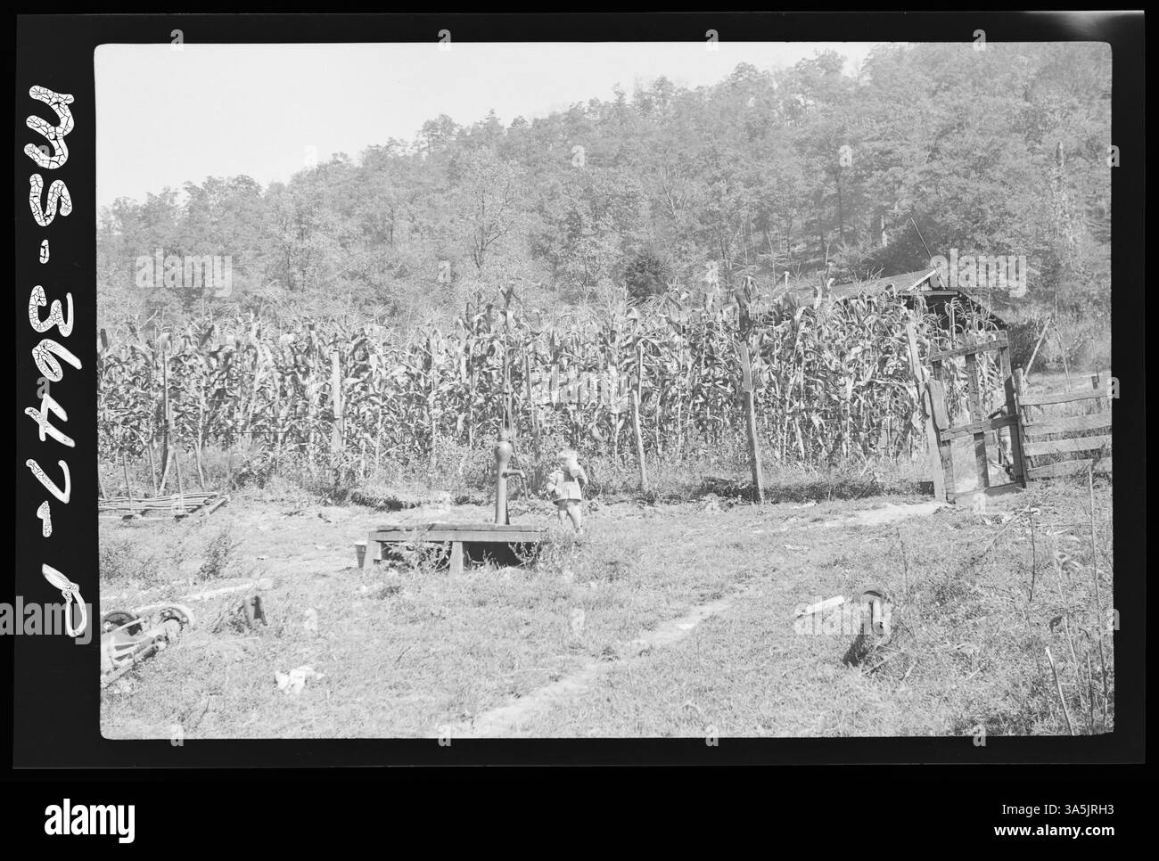 The water supply system for House #3 at Margaret Ann Mine in Conaway ...
