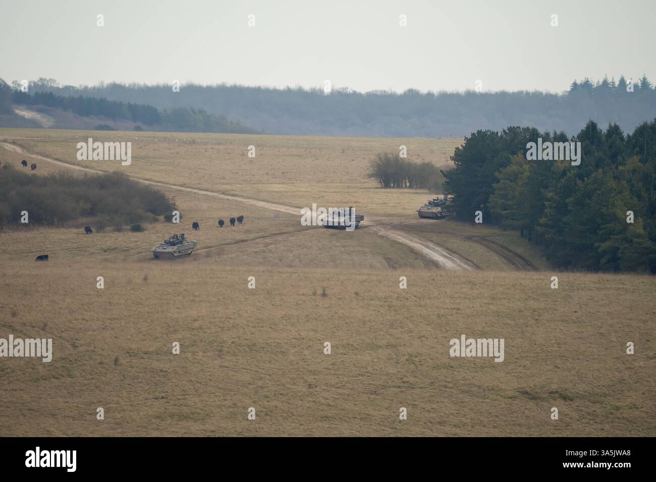 three British army General Dynamics Ajax tanks, reconnaissance and ...