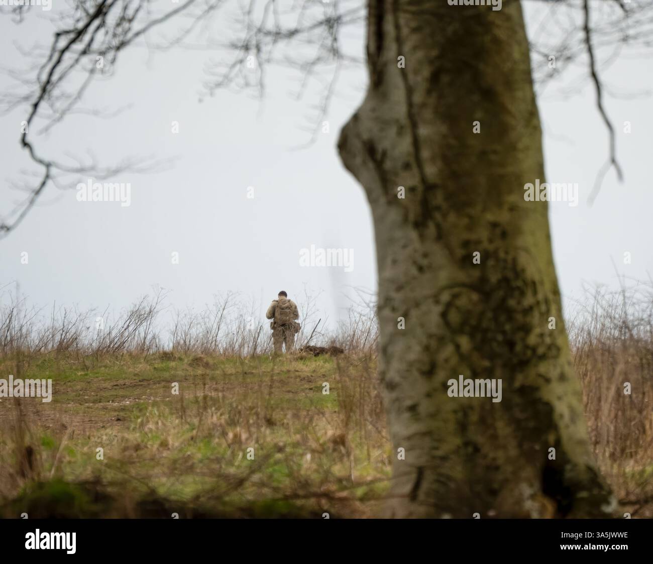 British army soldier moving across tall grass meadow Stock Photo - Alamy