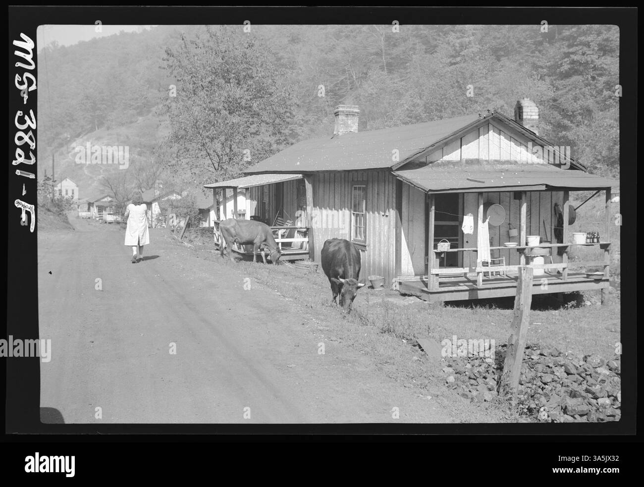 Proximity to wildlife Black and White Stock Photos & Images - Alamy