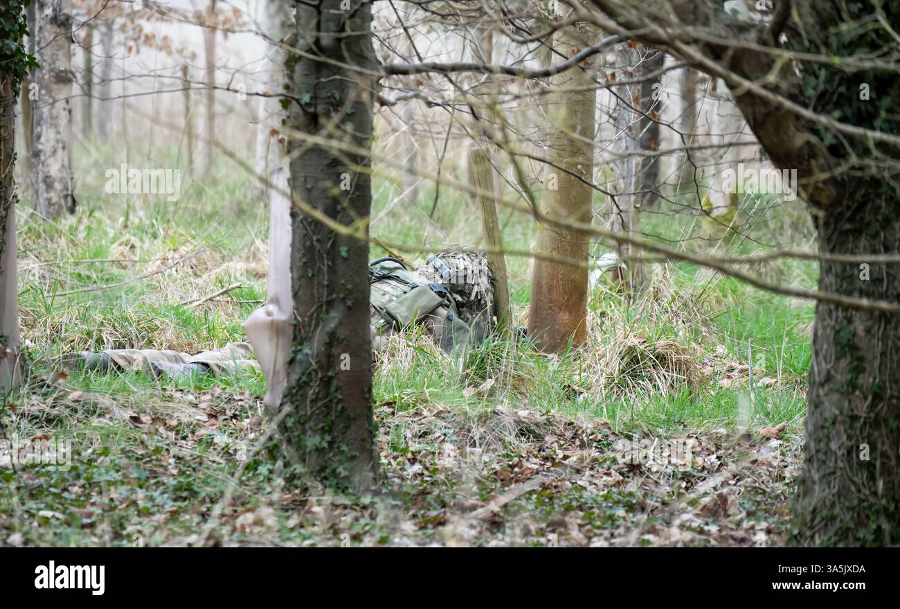 British army soldier takes aim with rifle from under cover in woodland ...