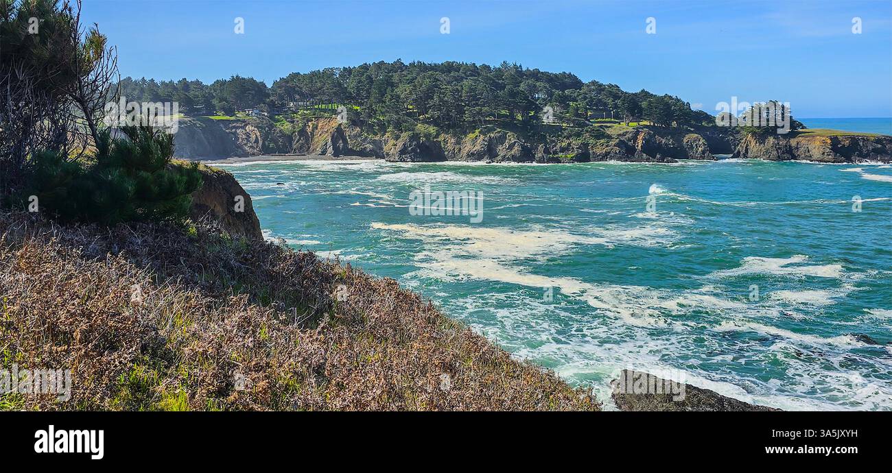 Dramatic coastal view of lush green oceanside landscape and surf in ...