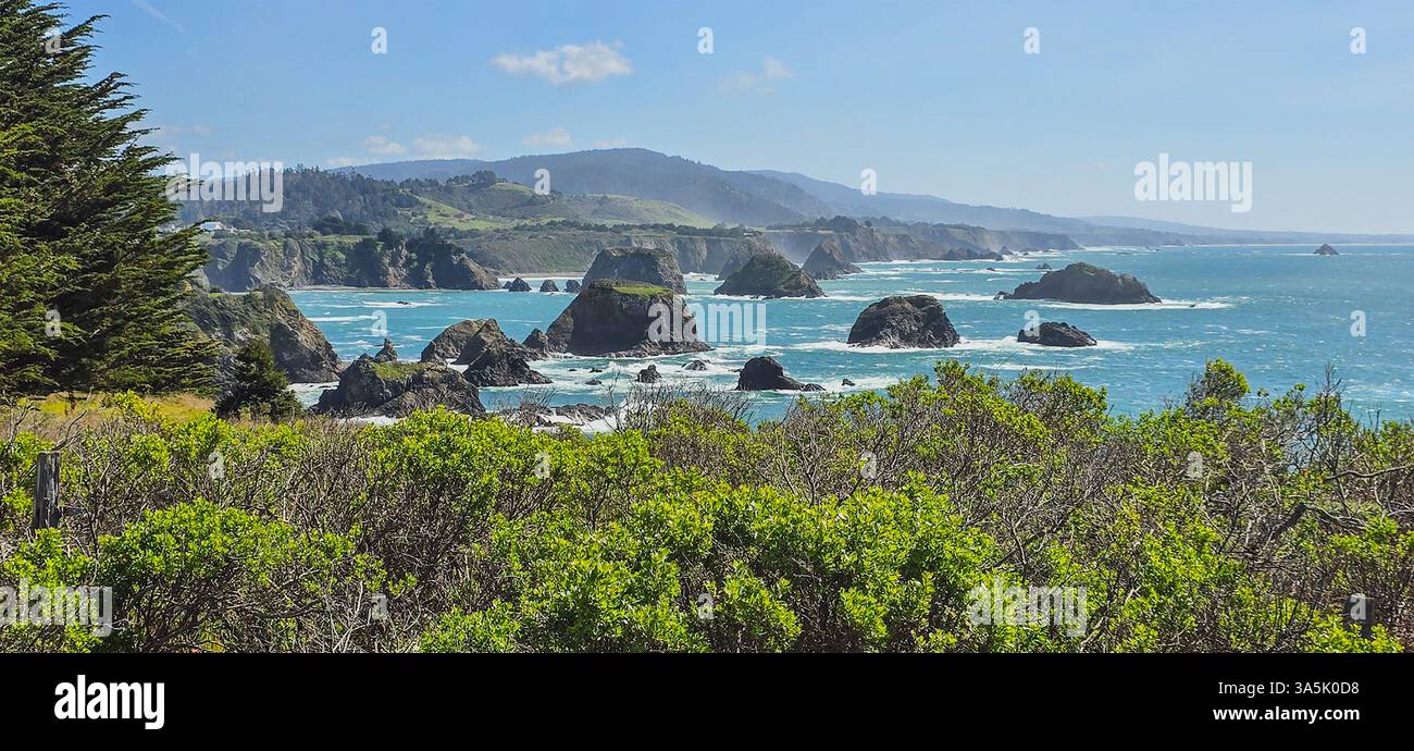 Dramatic coastal view of lush green oceanside landscape and rocky ...