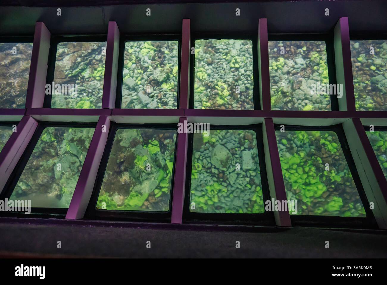 Multiple glass panels on a boat's bottom revealing a vibrant underwater ...