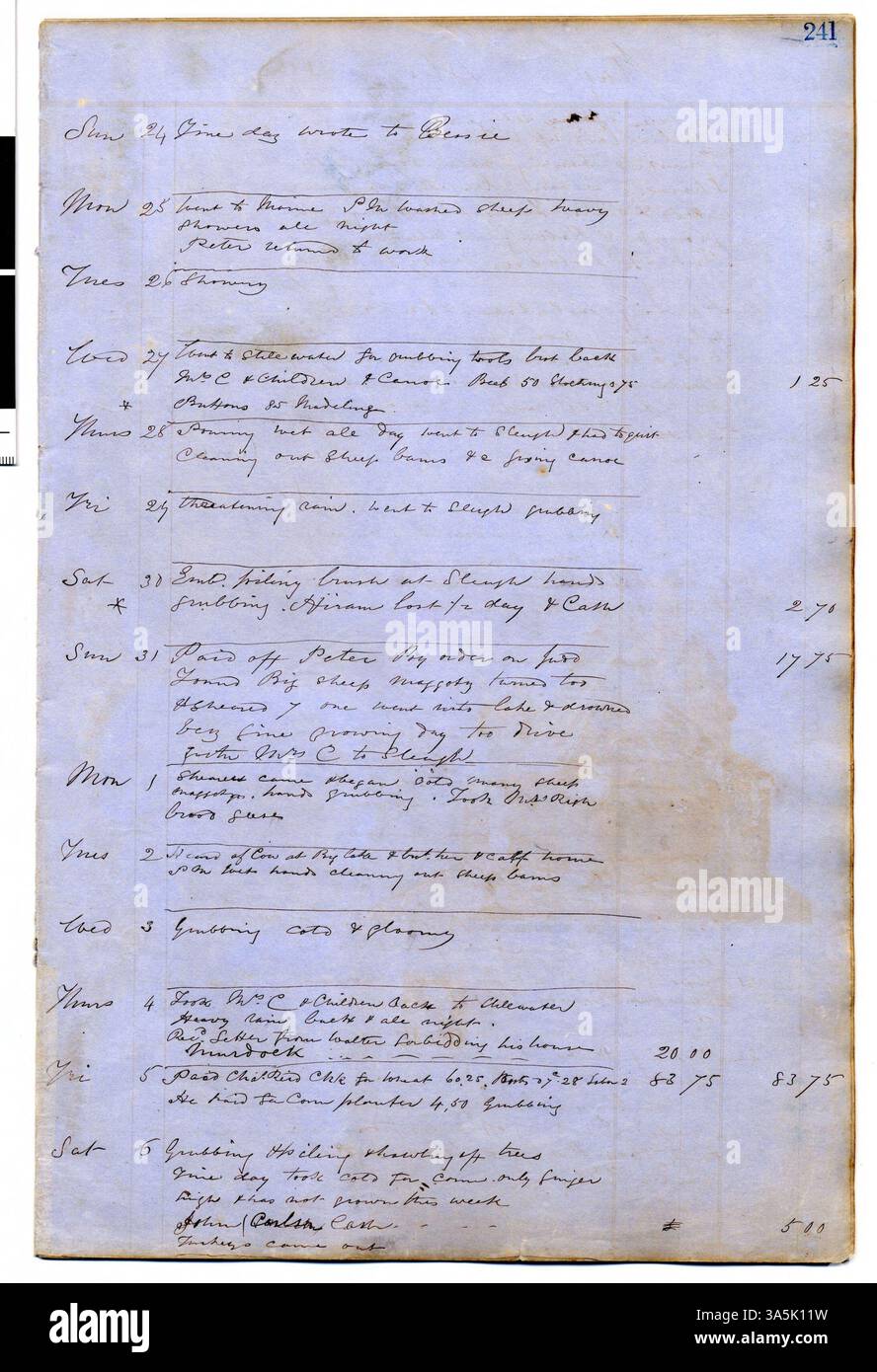 Morgan May’s handwritten journal (1861-1871) provides a detailed record ...