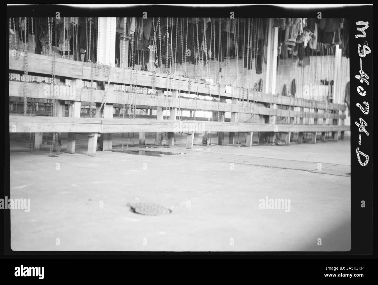 Interior of the washhouse at Knox Consolidated Coal Company's Knox ...