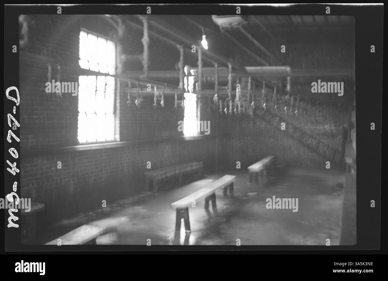 The shower section washhouse at Knox Consolidated Coal Co.'s #2 Mine in ...