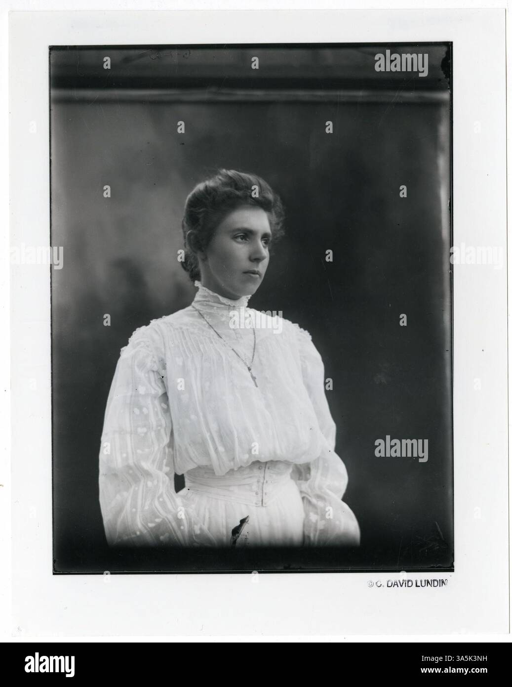 A portrait of Elizabeth (Lizzie Erickson) Holcombe, wife of Frederick ...