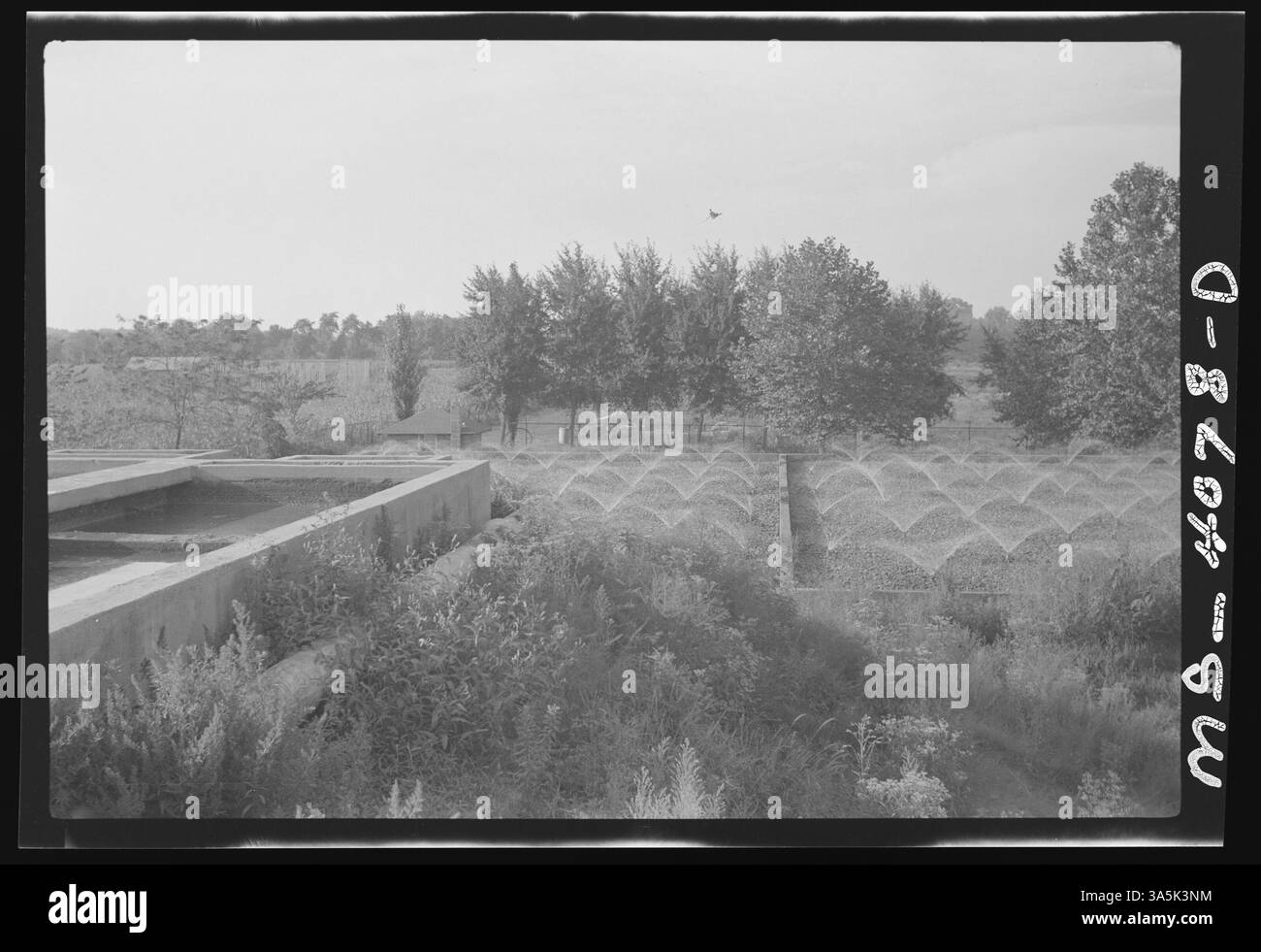 This photograph shows the filtration beds and settling basin at the ...