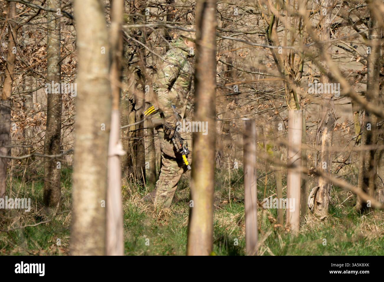 army soldier with a rifle moving through cover of woodland Stock Photo ...