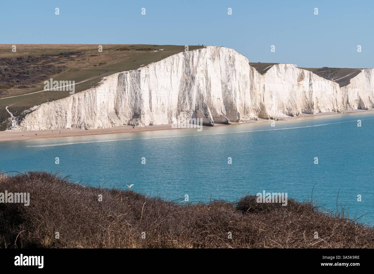 Chalk cliffs of the Seven Sisters in spring sunshine, South Downs ...