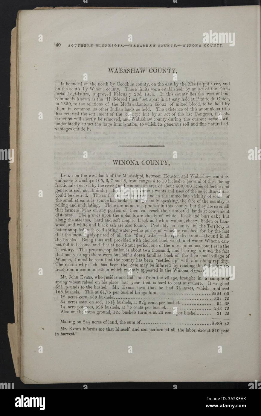 An overview of Minnesota Territory's development, focusing on its ...