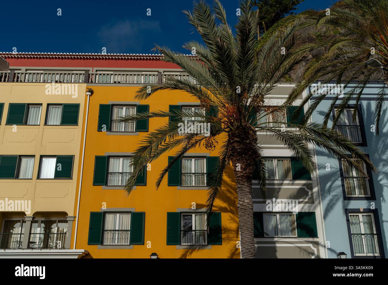 A charming seaside village featuring pastel-colored buildings, palm ...