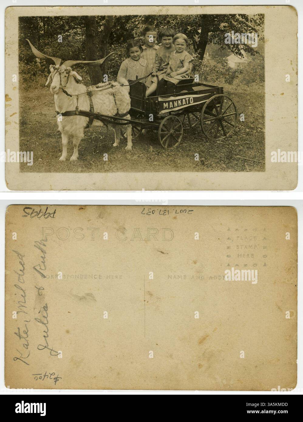 Pulled by a goat the children are identified as kate hi-res stock ...