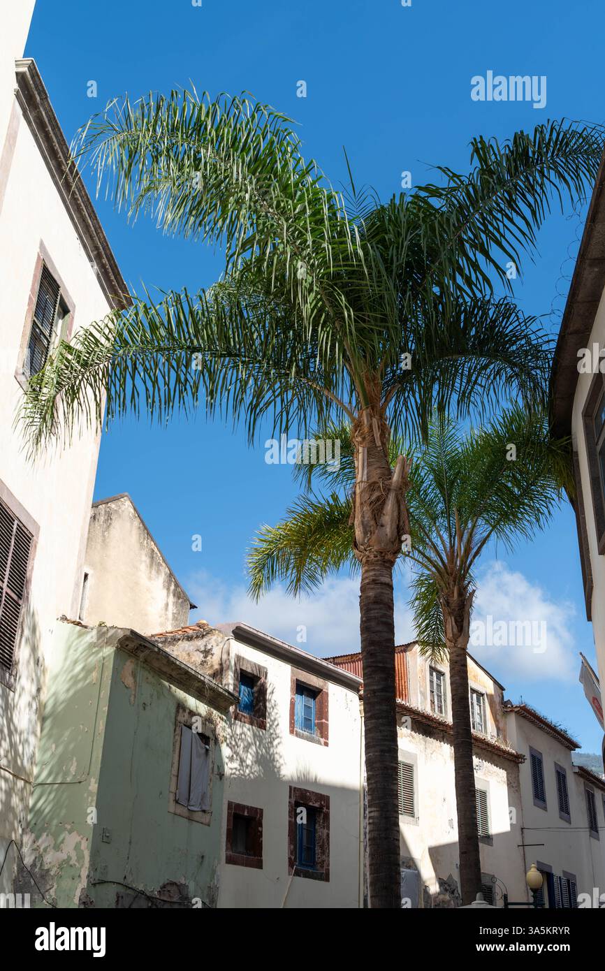 Seamlessly merge hi-res stock photography and images - Alamy
