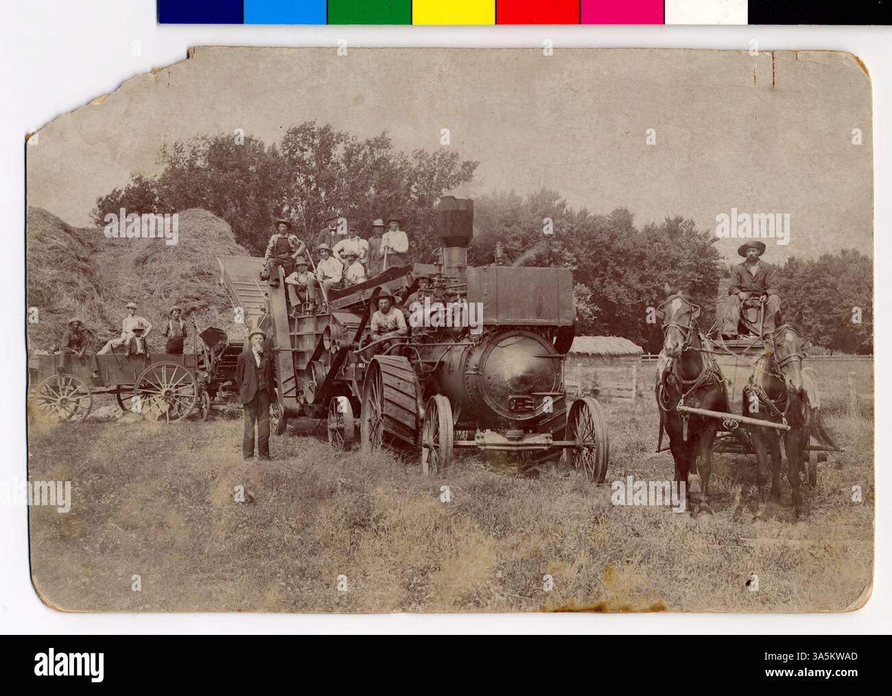 The image depicts the Scherer and Day threshing crew at Quiggle Farm in ...