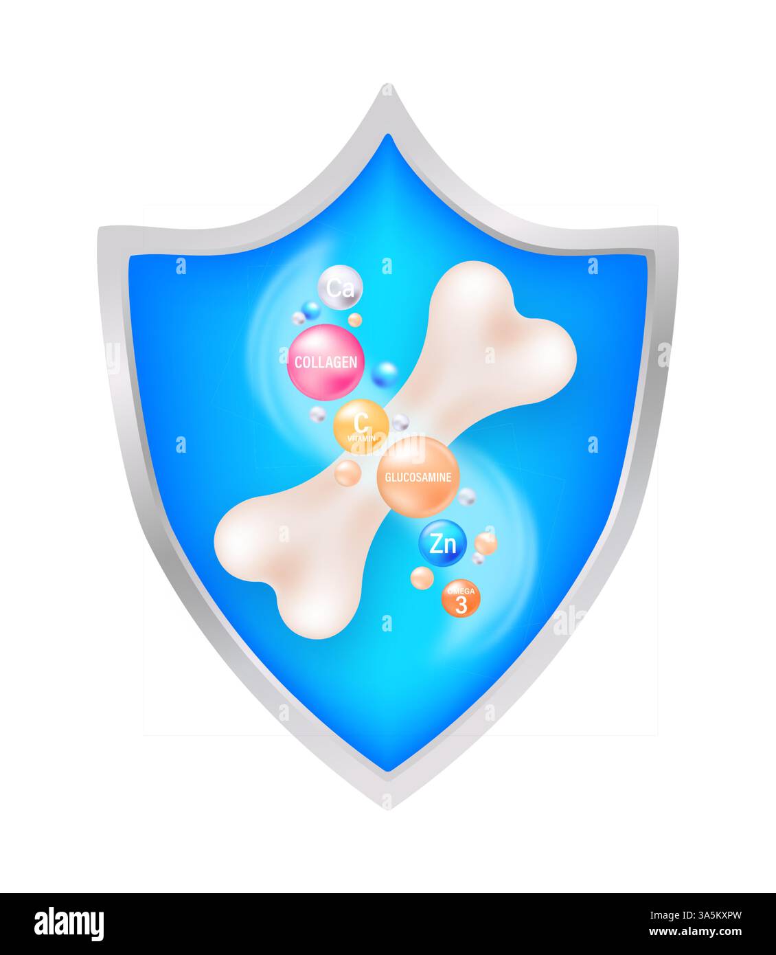 Bone Health Protection with Essential Nutrients Shield Vector ...