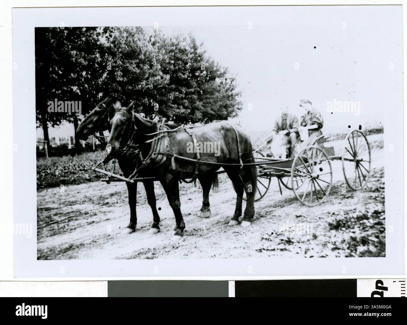 Two women in a horse-drawn wagon are pictured in Medo Township ...