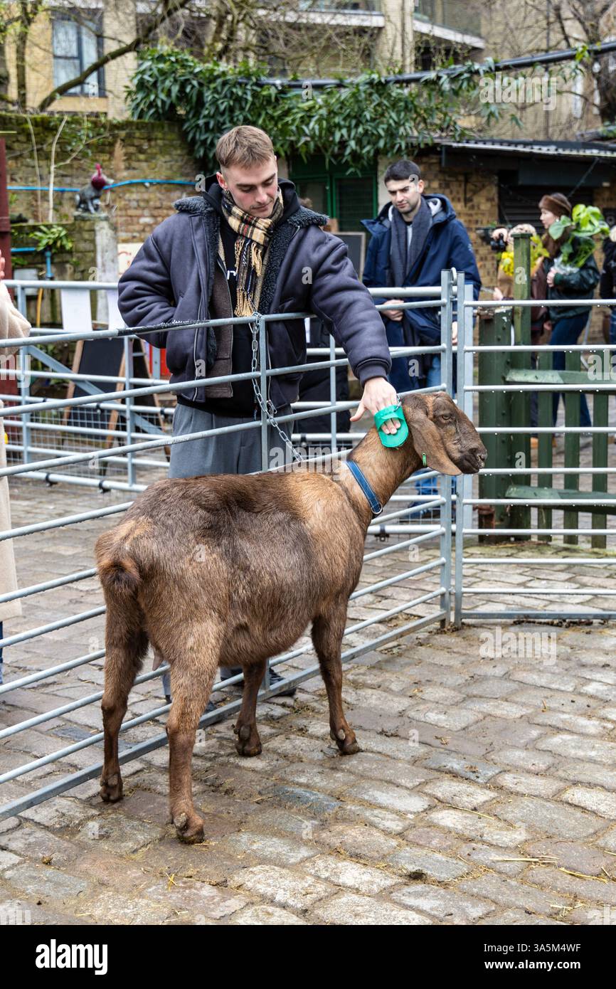 Travel animal goat sights hi-res stock photography and images - Alamy