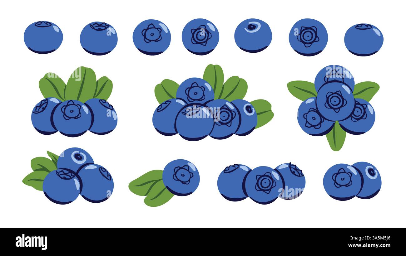 Blueberry icon vector set. Colored fruits for design farm product ...