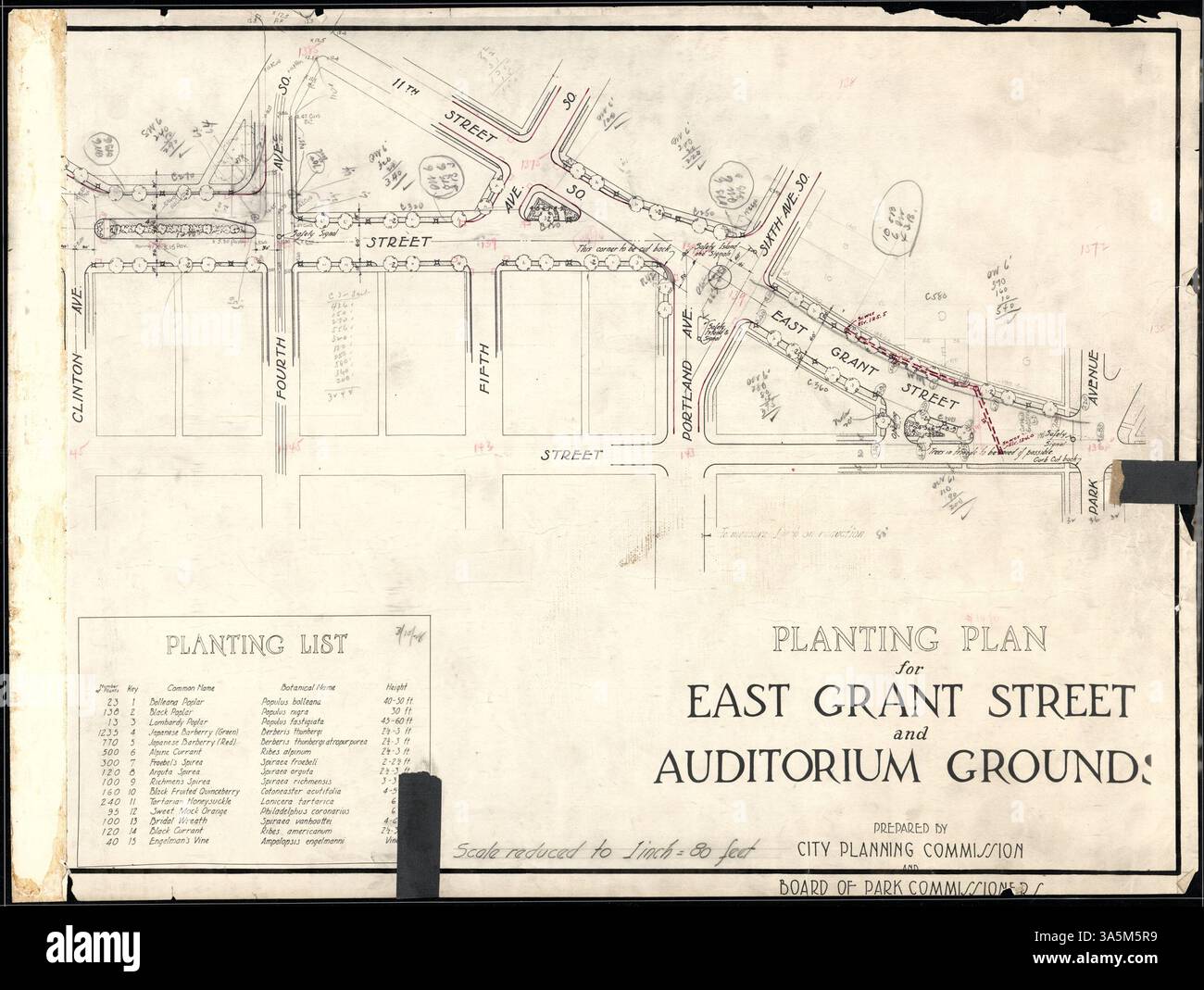 This map illustrates the planting plan for East Grant Street and the ...