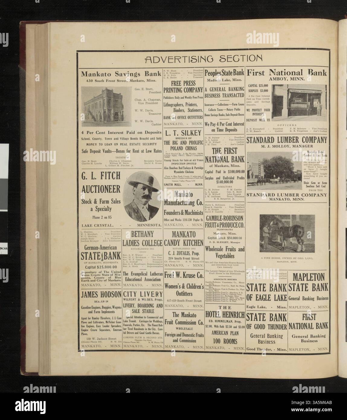 The 'Standard Atlas' includes plat maps of Blue Earth County's villages ...