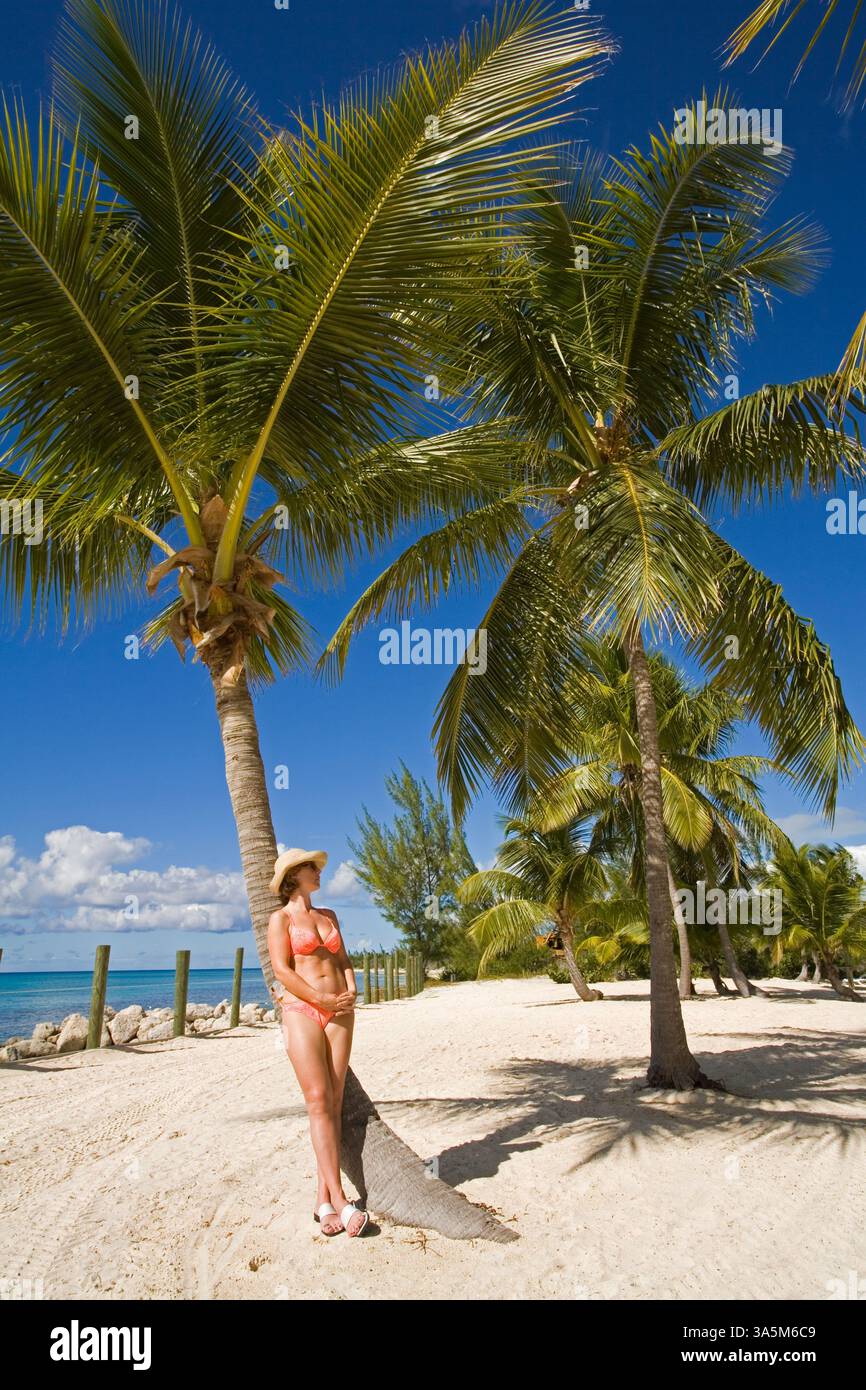 Woman leaning against Palm Tree, Princess Cays, Eleuthera Island, Bahamas, Greater Antilles ...