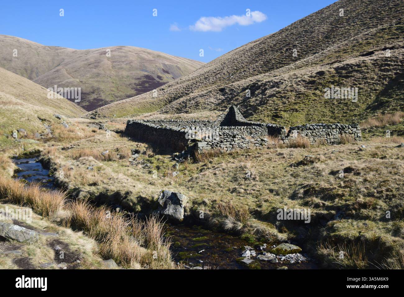 Dales stone enclosure Stock Photo - Alamy