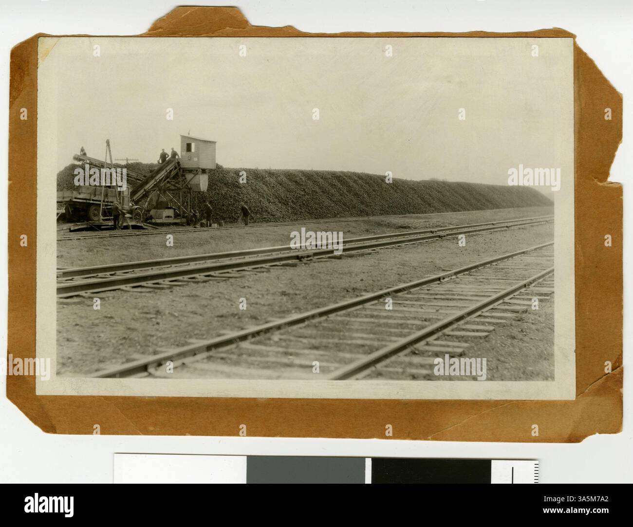 This image depicts sugar beets piled along railroad tracks in Blue ...
