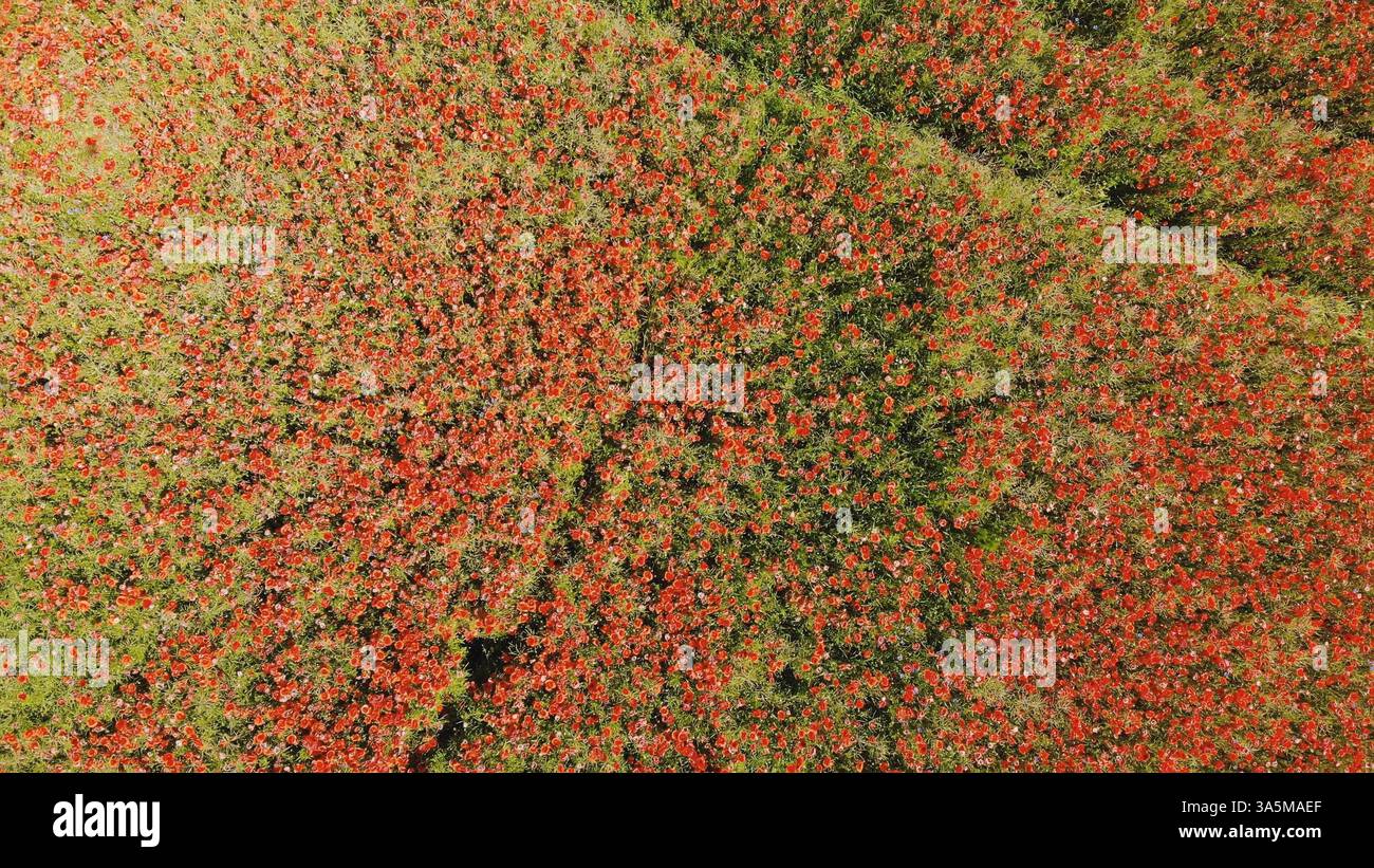 Aerial drone footage spring field hi-res stock photography and images ...