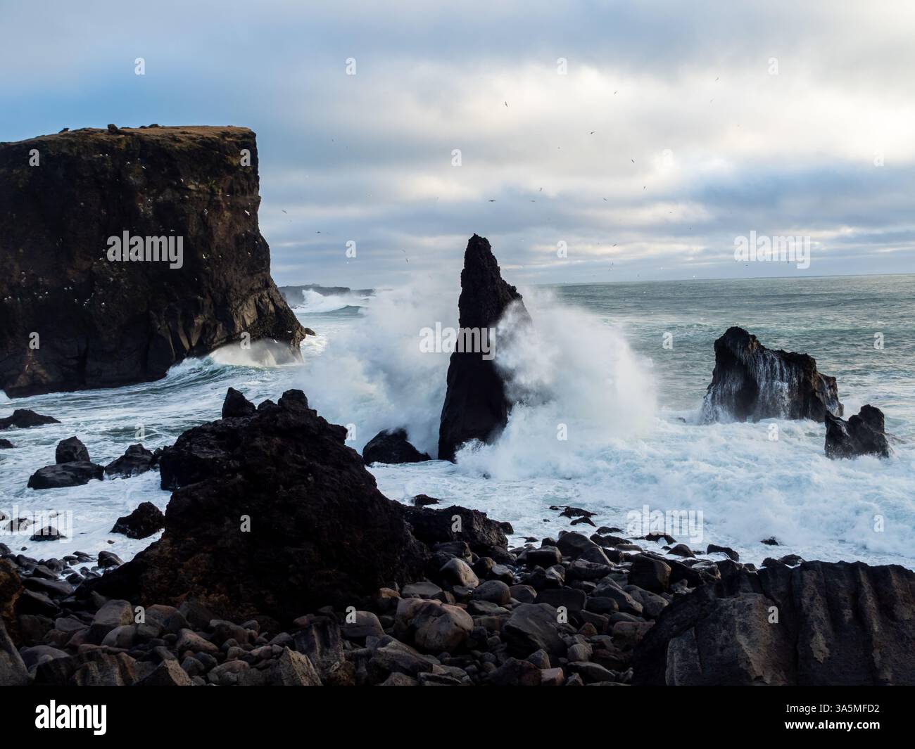 Dramatic sea stacks and basalt cliffs at Valahnúkamöl, where powerful ...
