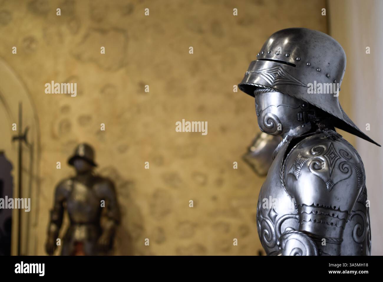 Side view of Medieval Armor with details and other armor with pike in ...