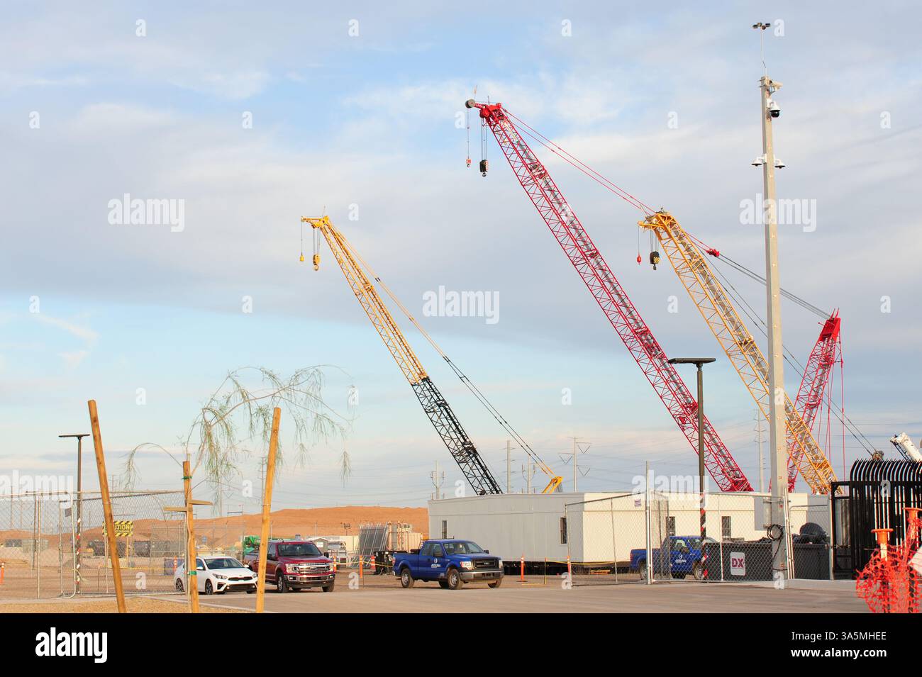 Mesa, Arizona, USA. 23rd Mar, 2025. Cranes line the construction site ...