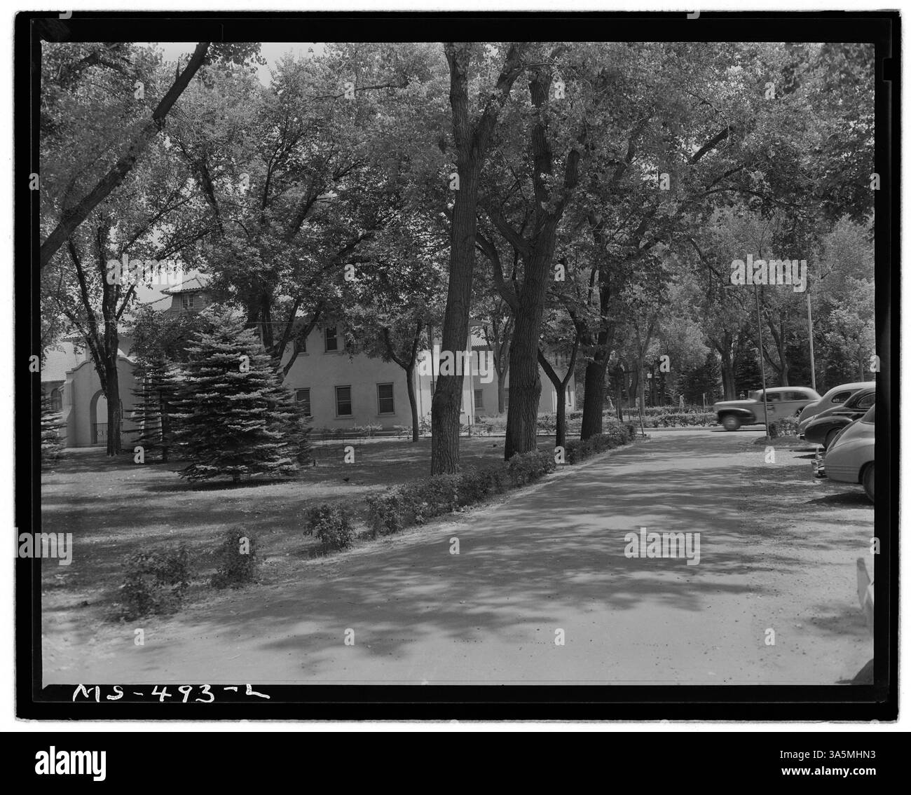 History of local families Cut Out Stock Images & Pictures - Alamy