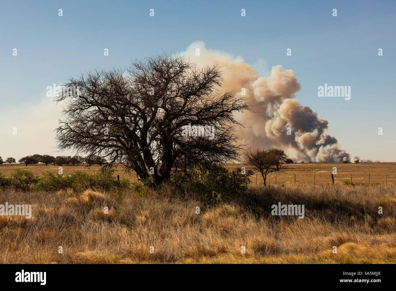 Smoke cloud Fire in La Pampa Province, Patagonia, Argentina Stock Photo ...