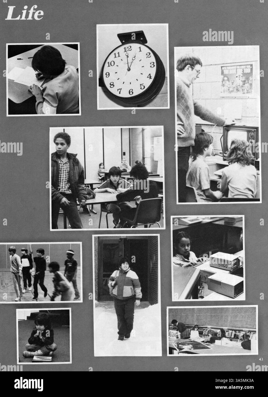 The 1985 yearbook highlights the activities hi-res stock photography ...