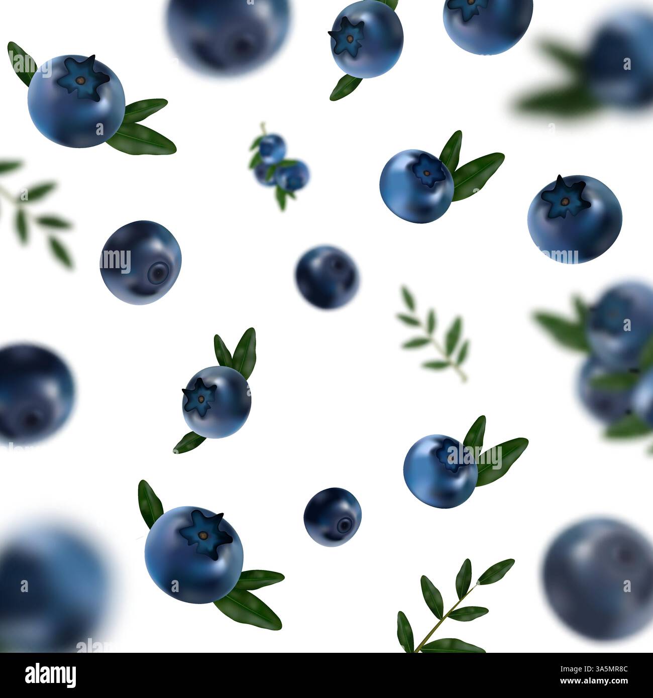 Blueberries botanical illustration hi-res stock photography and images ...