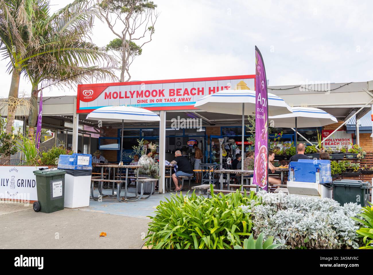 Mollymook Australian town on the east coast of New South Wales with ...