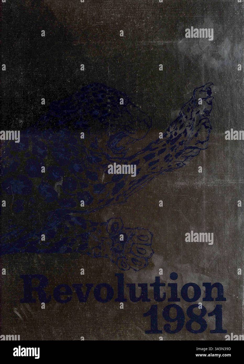 The 1981 'Revolution' yearbook from Jefferson High School showcases ...