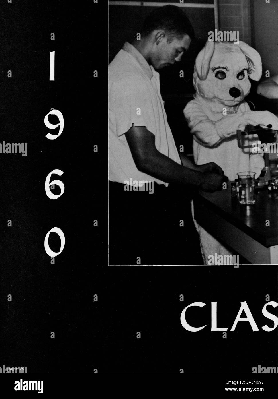 The 1960 Bloomington High Yearbook, Bear '60, provides a snapshot of ...