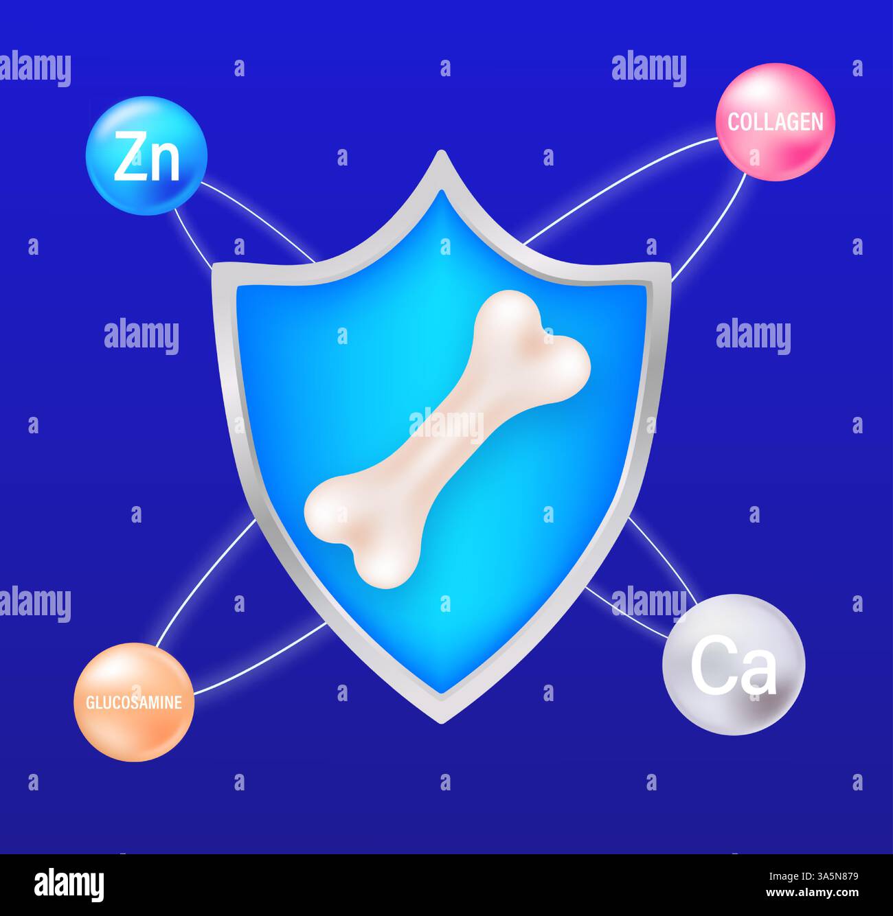Joint Health Nutrient Shield Concept Stock Vector Image & Art - Alamy