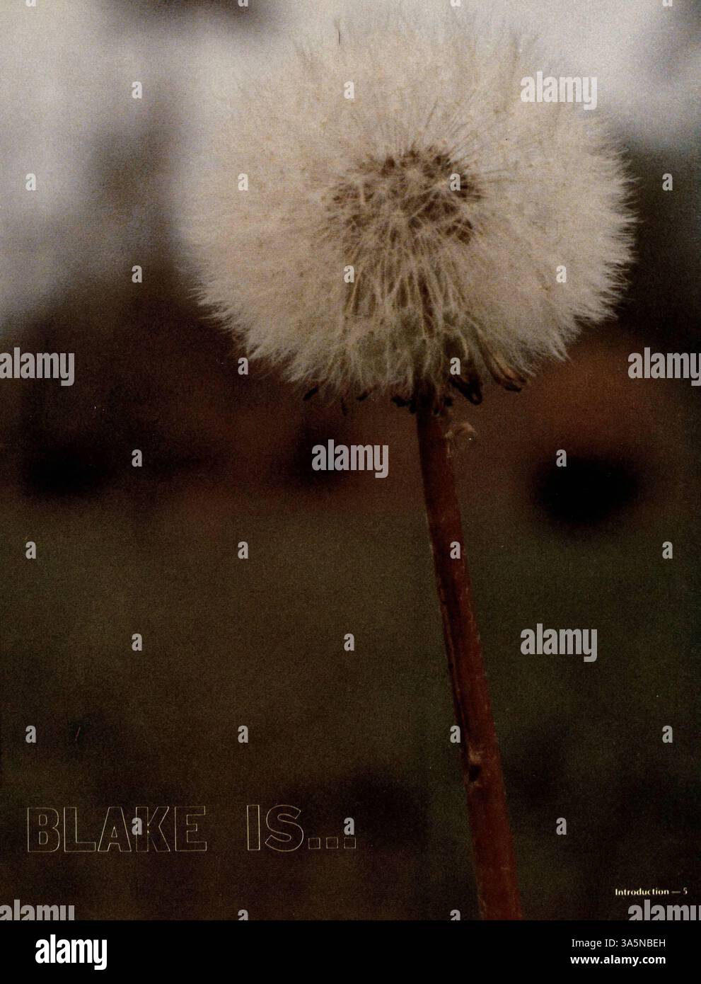 Captures the significant moments of the 1978 1979 school year hi-res ...