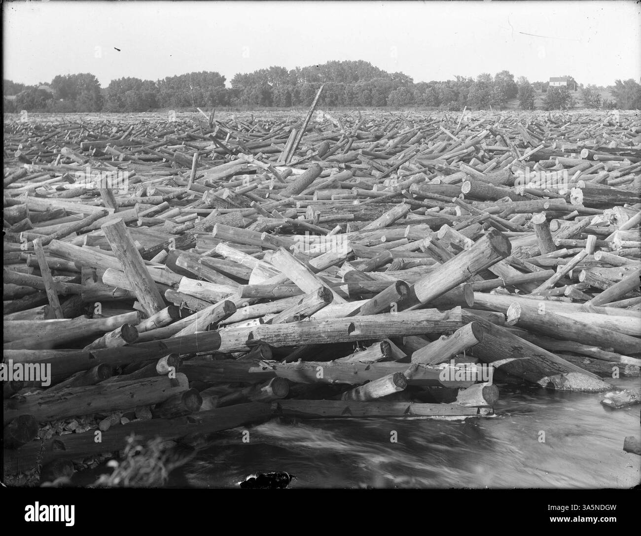 Logs on the Mississippi River, as documented in Hennepin County Library ...