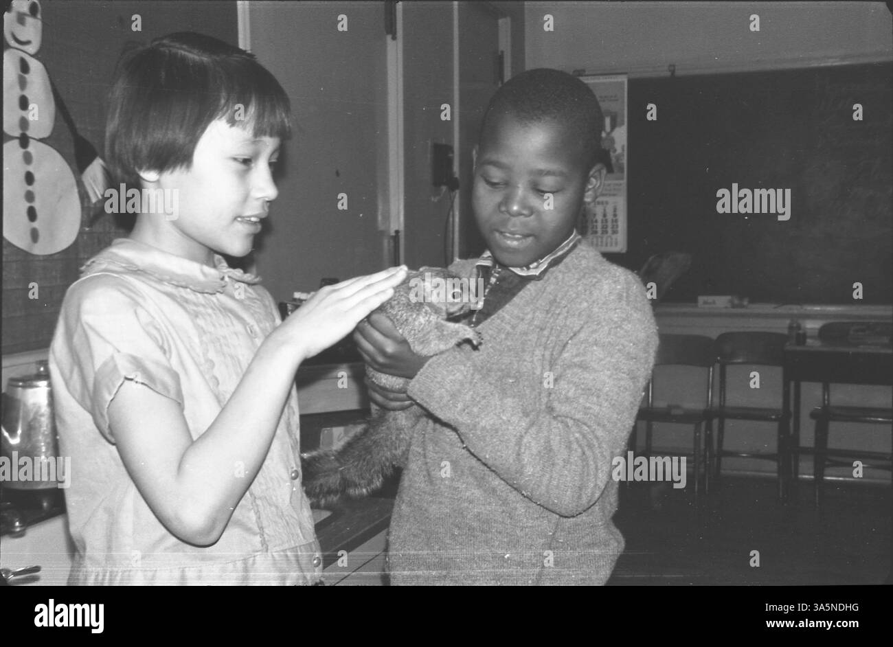 Educational nature documentation Black and White Stock Photos & Images ...