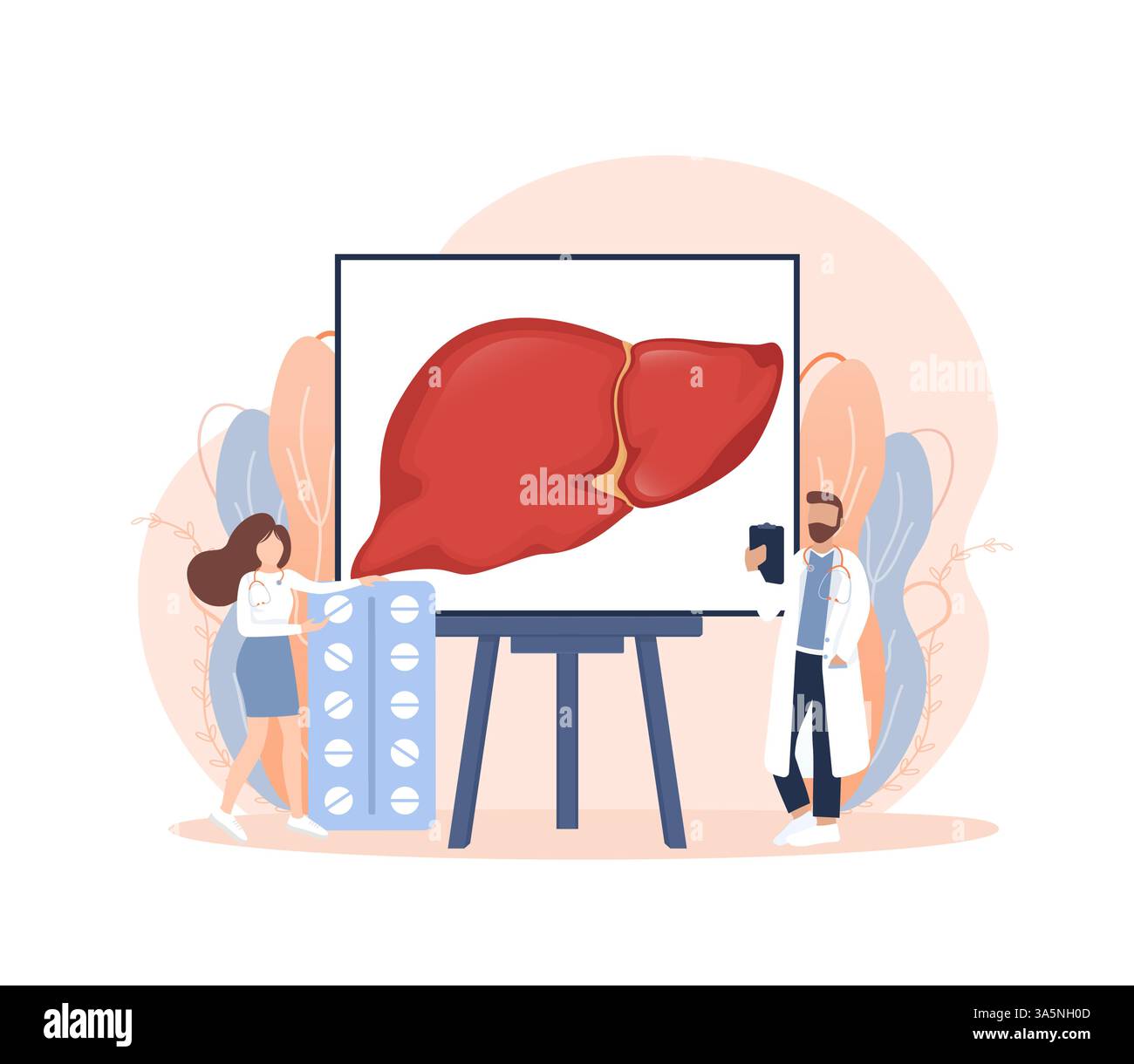 Flat illustration with liver on white background for medical design ...