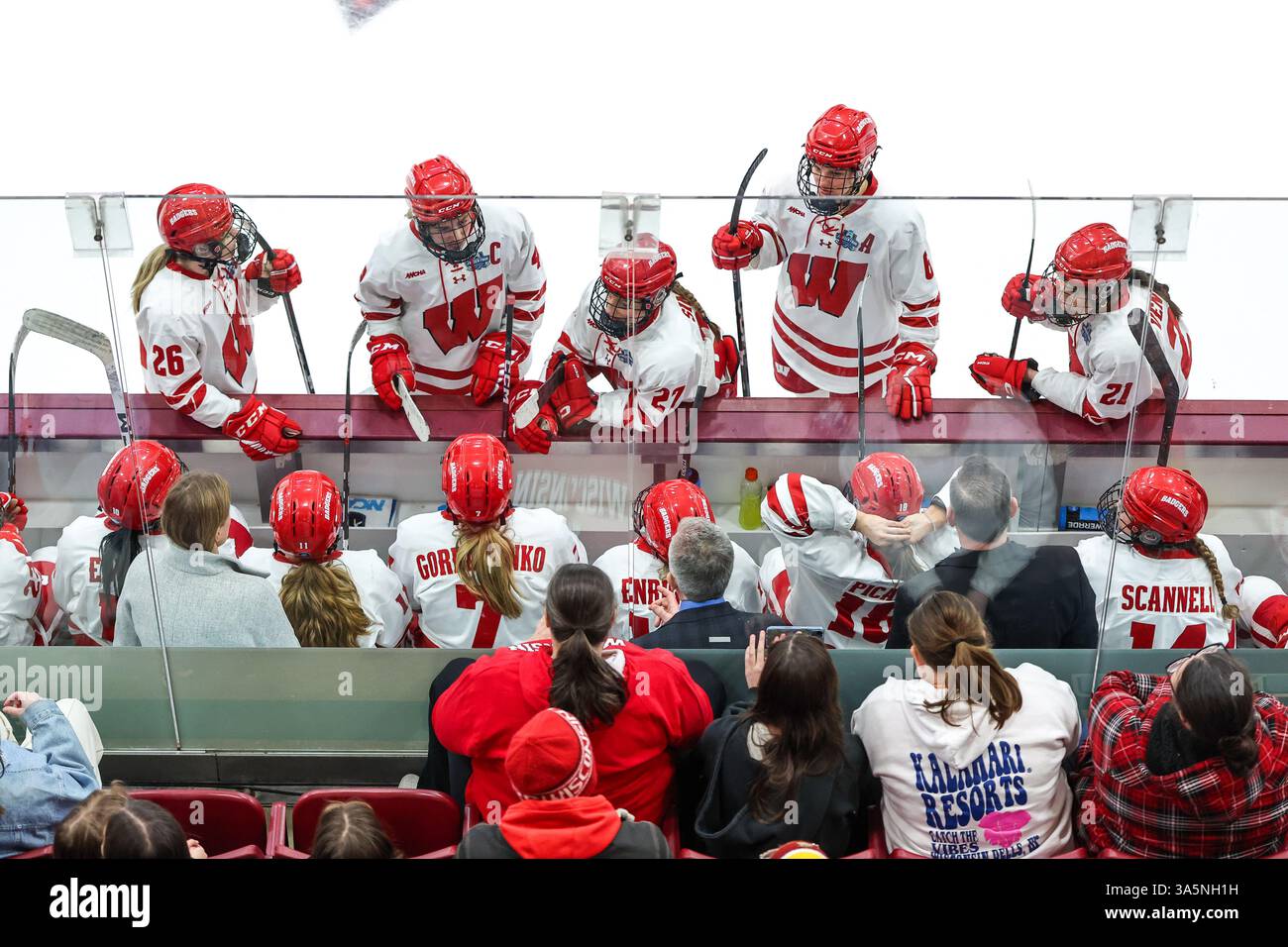 Minneapolis. 23rd Mar, 2025. the Wisconsin Badgers bench huddles during ...