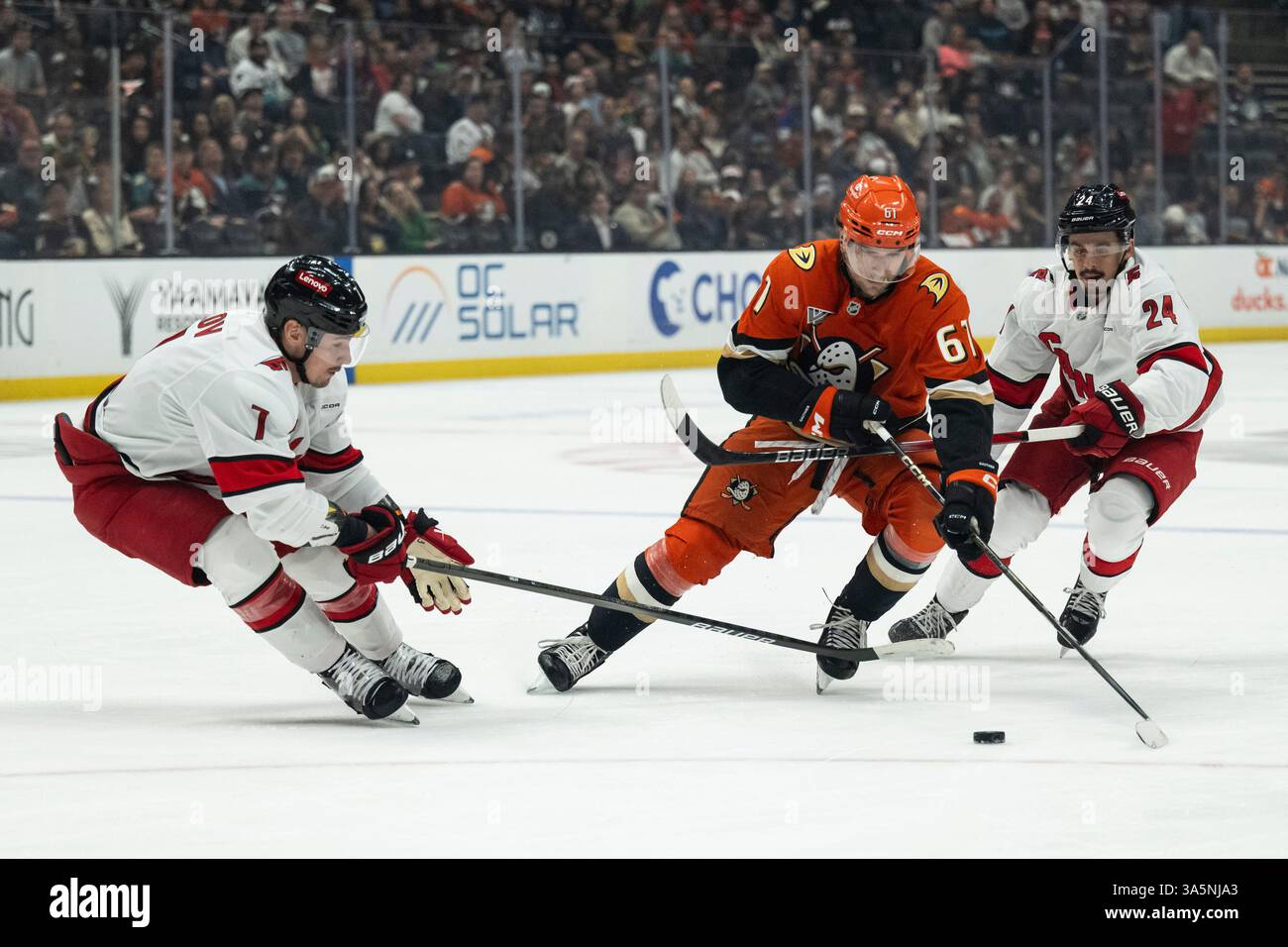 Anaheim Ducks left wing Cutter Gauthier (61) controls the puck as ...