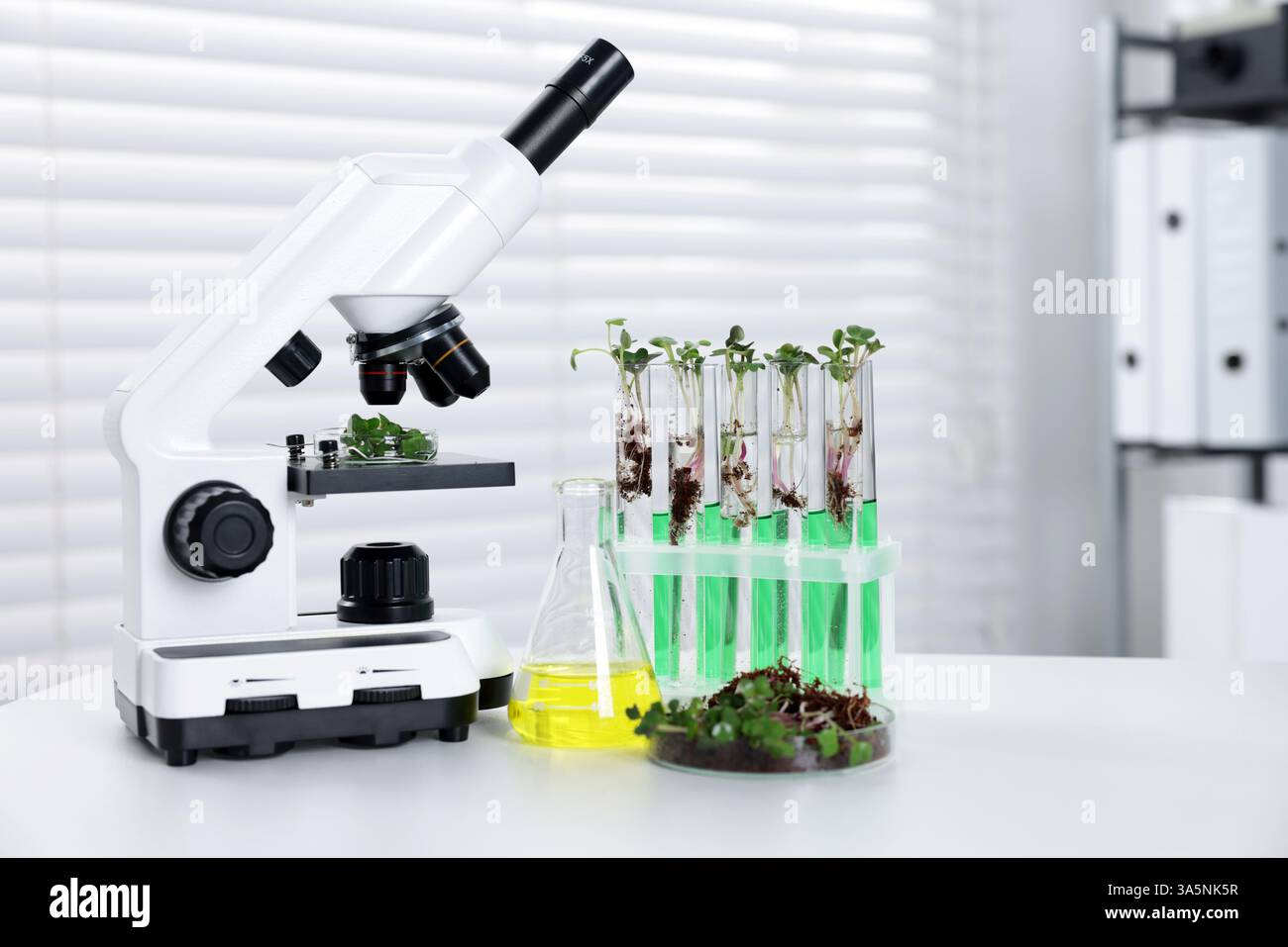 Biochemistry. Microscope, glassware with liquids and plants on white ...
